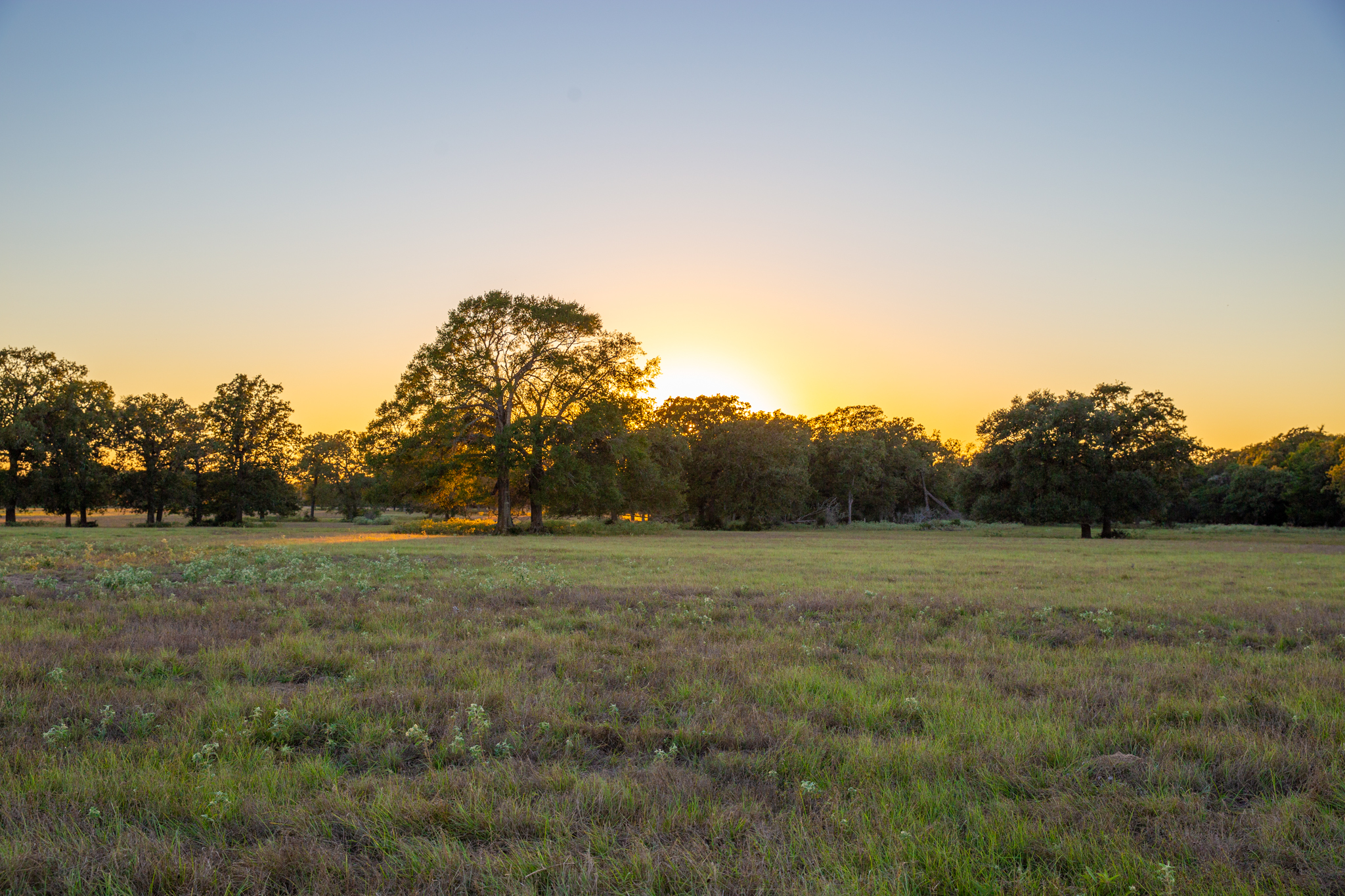 Golden Oak Ranch - countrysidelandpartners.com