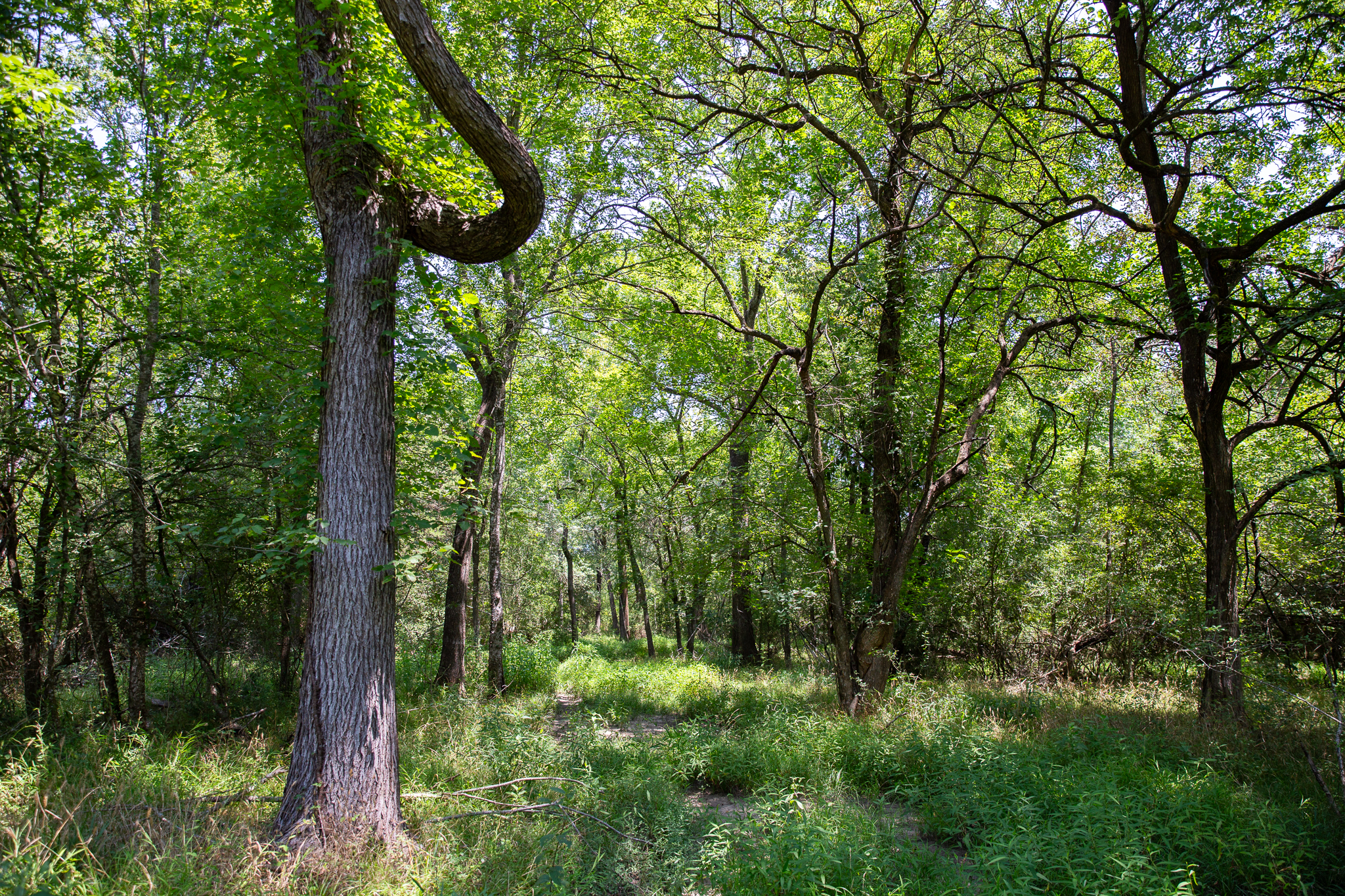 Hidden Canopy Ranch - countrysidelandpartners.com