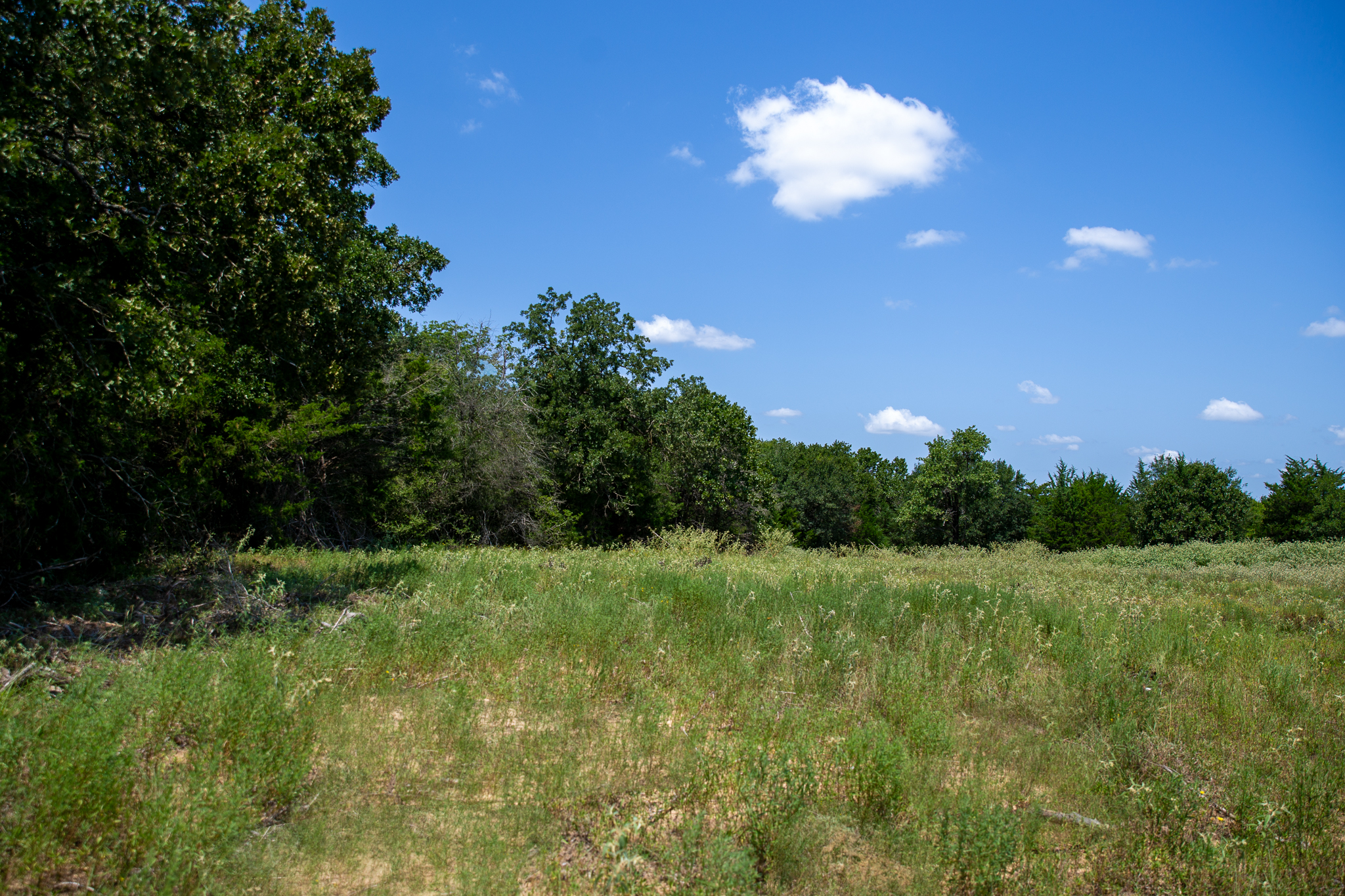 Hidden Canopy Ranch - countrysidelandpartners.com